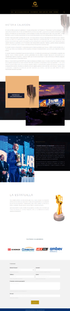 galardonalaexportacion.com - Otto García